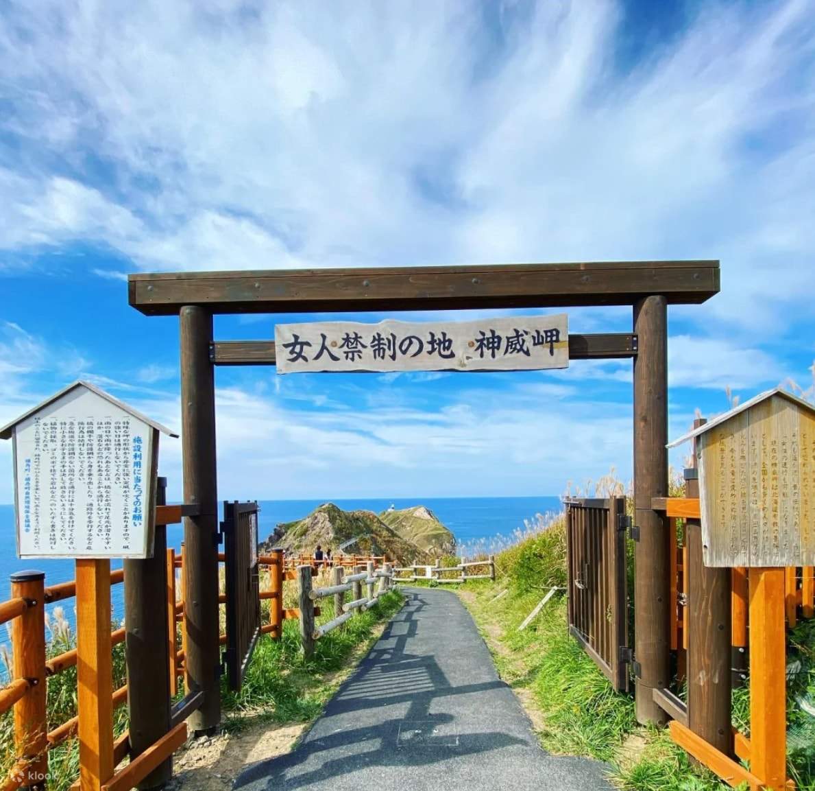 [Spring Only] Hokkaido Cherry Blossom Day Tour | Cape Kamui & Yoichi ...